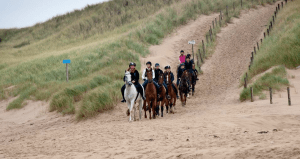 Home - Paardrijden bij Manege de Hoef
