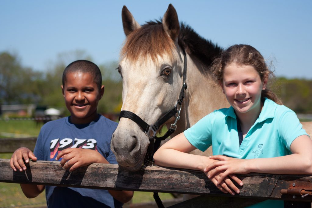 Home - Paardrijden bij Manege de Hoef
