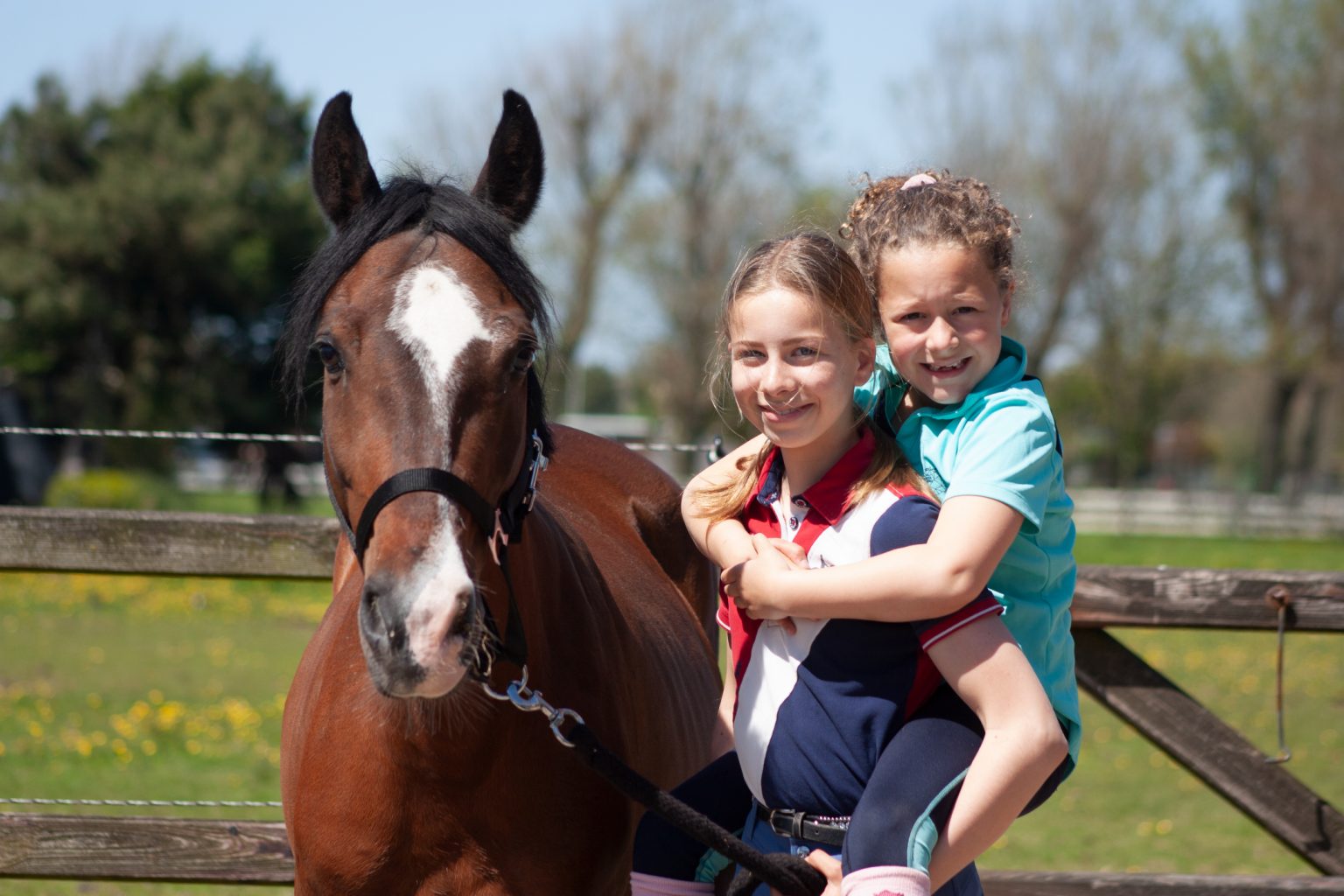Paardrijden bij Manege de Hoef - Manege de Hoef