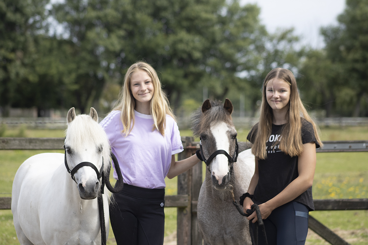Startlijsten onderlinge wedstrijd - Manege de Hoef