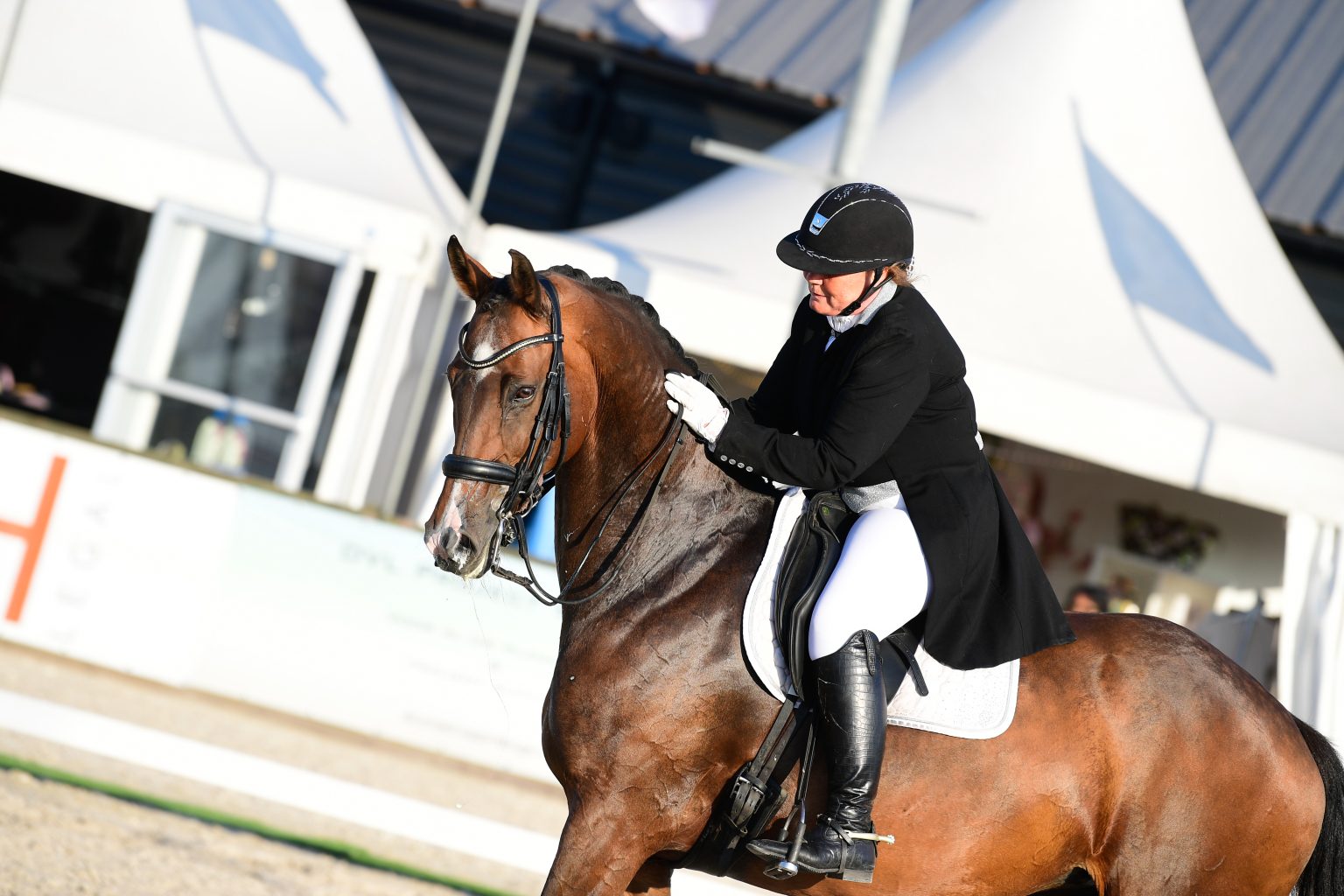 Paardrijden bij Manege de Hoef - Manege de Hoef