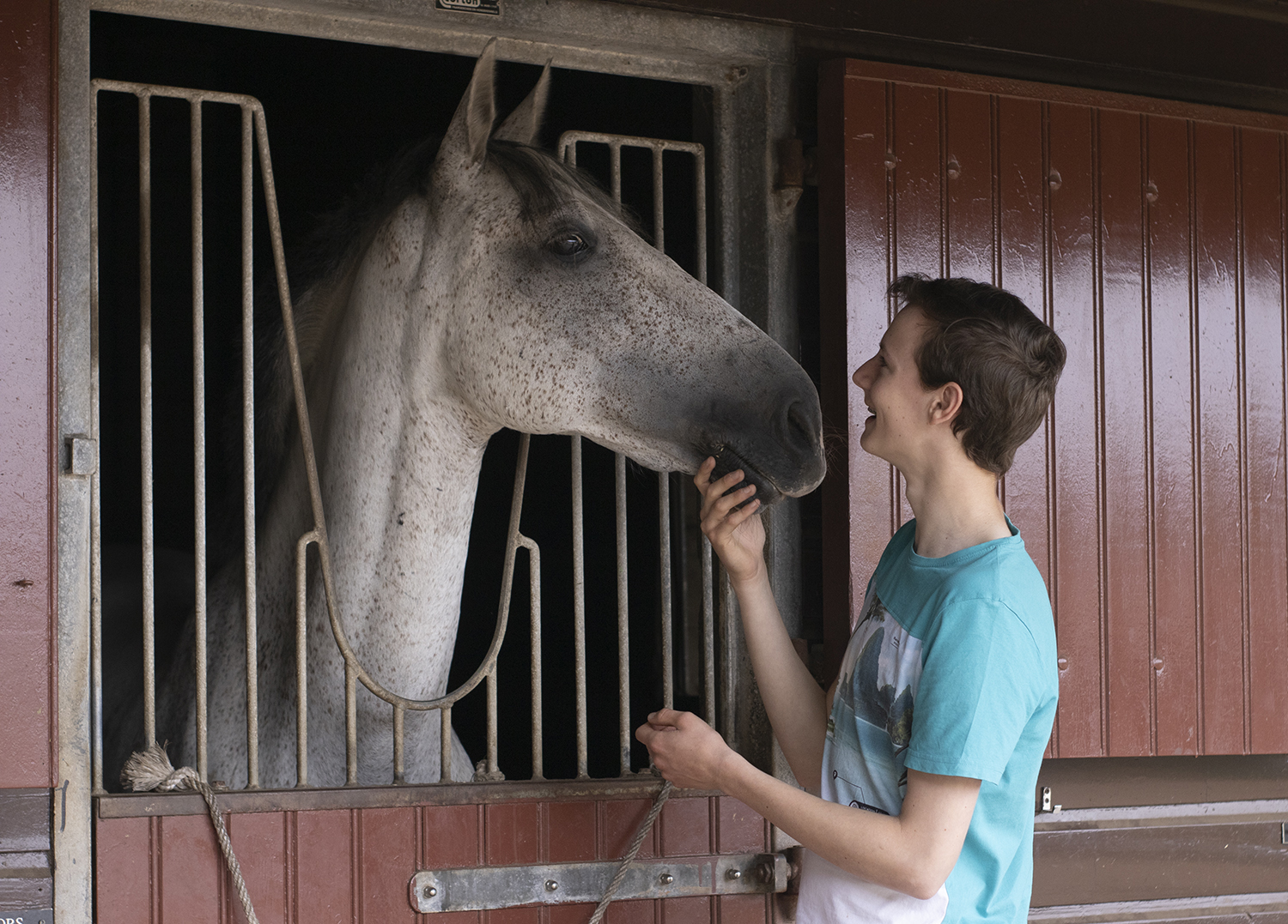 Manege de Hoef - Manege de Hoef