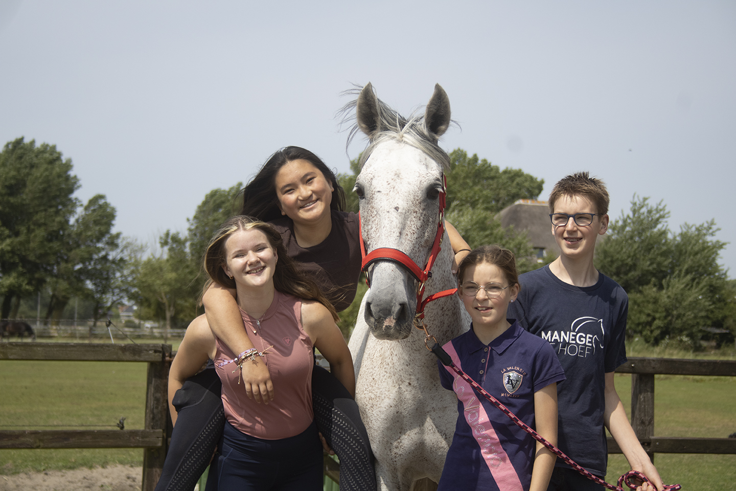 Paardrijden bij Manege de Hoef - Manege de Hoef